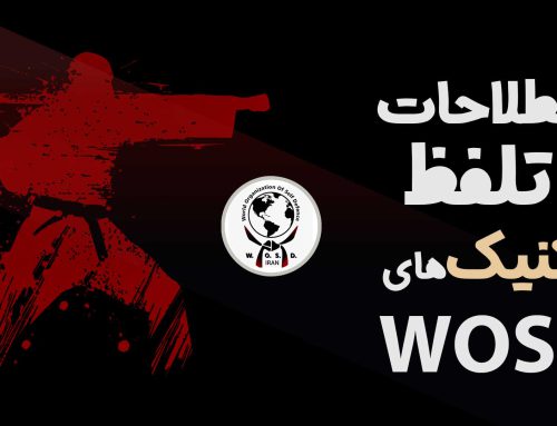 انتخاب رییس جدید انگلستان - سازمان دفاع شخصی WOSD